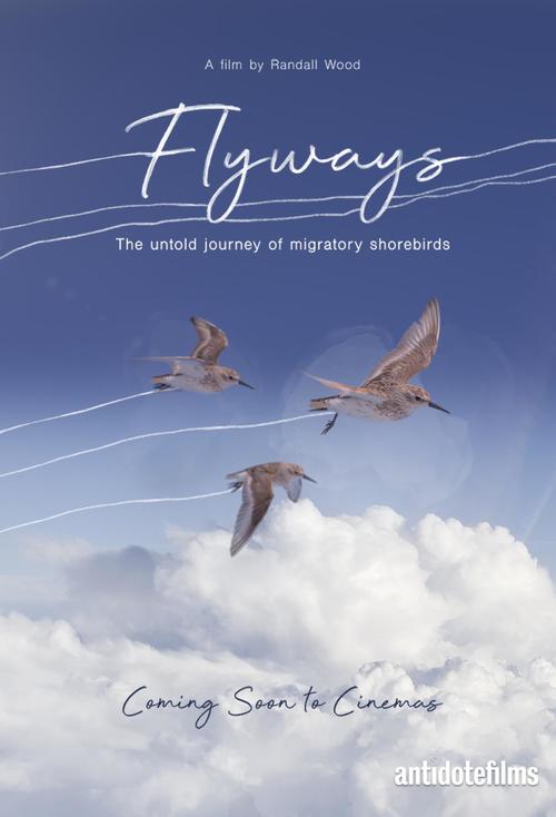 Movie poster for Flyways