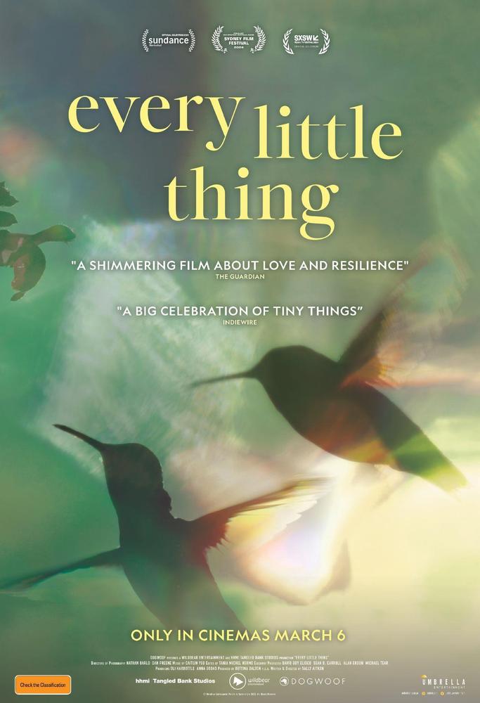 Movie poster for Every Little Thing