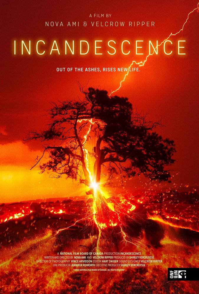 Movie poster for Incandescence