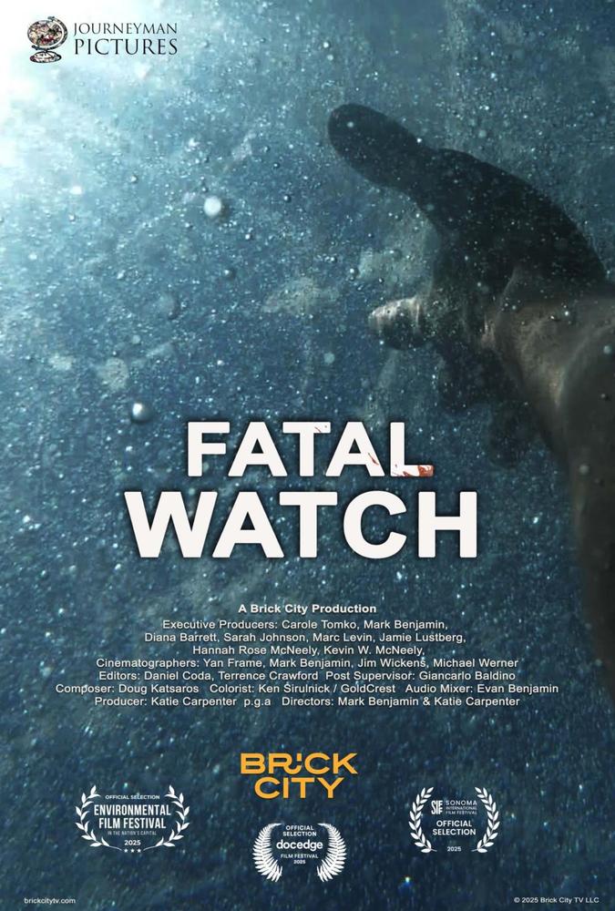 Movie poster for Fatal Watch
