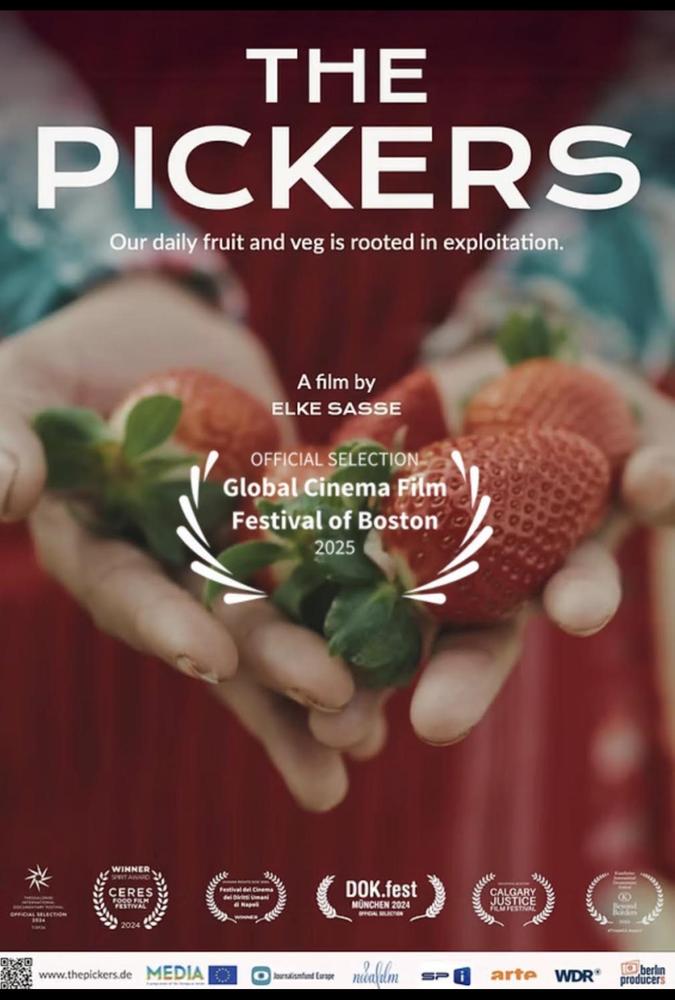 Movie poster for The Pickers